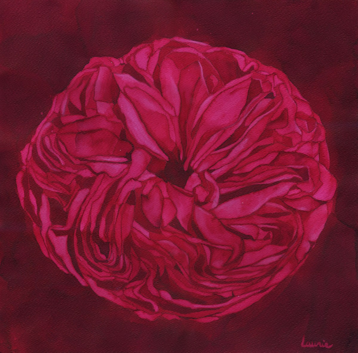 Feminine vulnerability – Laurie Lardinois – Conversation avec les étoiles